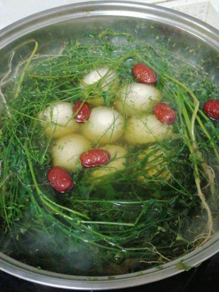 荠菜煮鸡蛋有什么效果_荠菜鸡蛋汤的功效与禁忌-第2张图片-山城妙识 荠菜煮鸡蛋有什么效果_荠菜鸡蛋汤的功效与禁忌-第2张图片-山城妙识