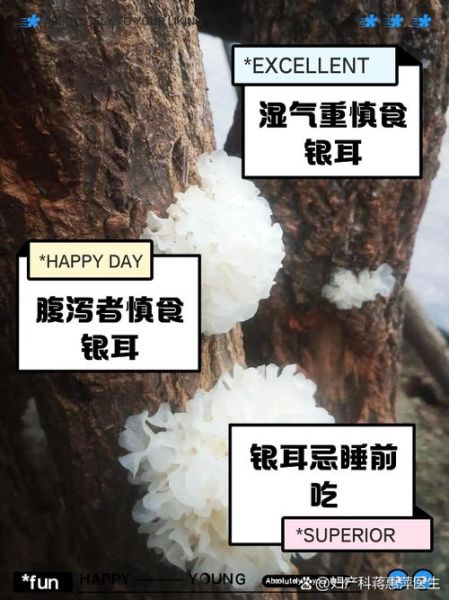 吃银耳的禁忌人群有哪些_哪些人不适合吃银耳-第2张图片-山城妙识 吃银耳的禁忌人群有哪些_哪些人不适合吃银耳-第2张图片-山城妙识