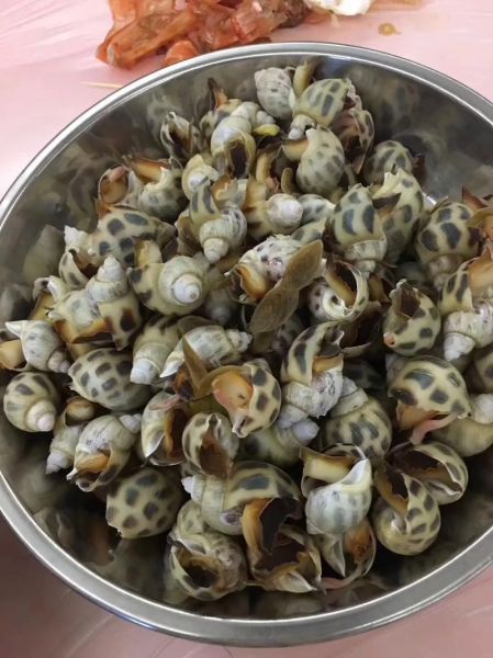 海鲜一锅烩怎么做_海鲜一锅烩用什么海鲜-第2张图片-山城妙识 海鲜一锅烩怎么做_海鲜一锅烩用什么海鲜-第2张图片-山城妙识