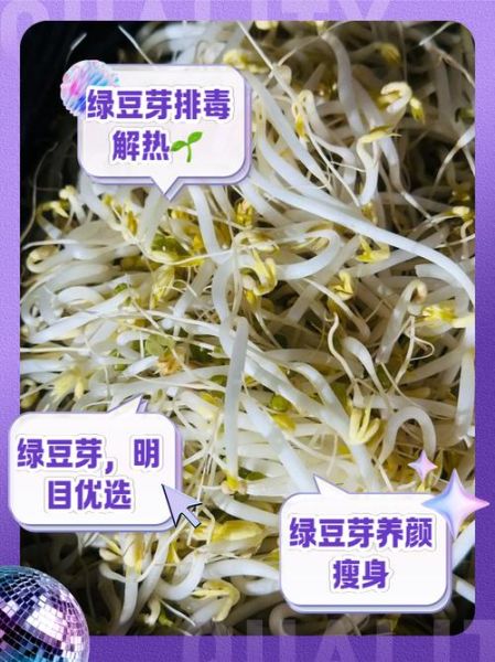 绿豆芽的营养价值与功效_绿豆芽的禁忌人群有哪些-第1张图片-山城妙识
