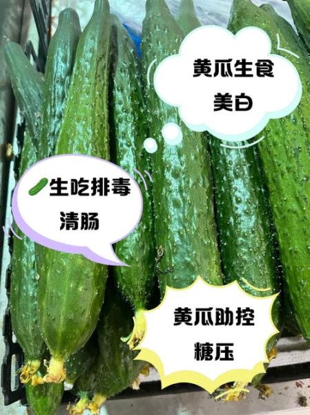 生吃黄瓜有什么好处_生吃黄瓜能减肥吗-第3张图片-山城妙识 生吃黄瓜有什么好处_生吃黄瓜能减肥吗-第3张图片-山城妙识