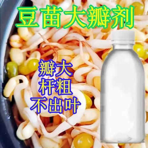 生豆芽用什么药_生豆芽需要几种药-第1张图片-山城妙识 生豆芽用什么药_生豆芽需要几种药-第1张图片-山城妙识
