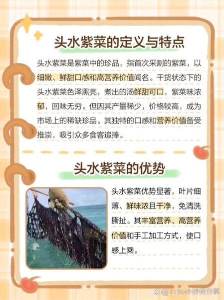 紫菜头水怎么做_紫菜头水的功效与禁忌-第1张图片-山城妙识