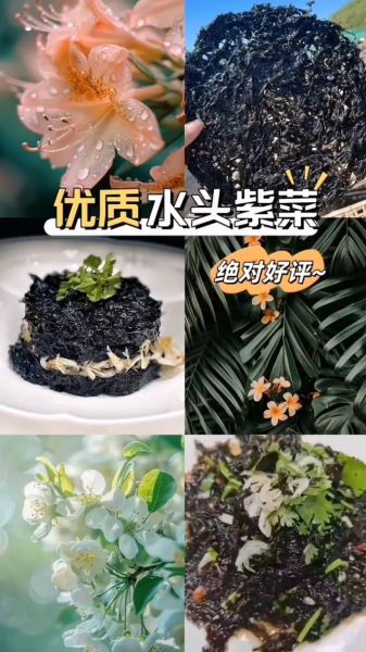 紫菜头水怎么做_紫菜头水的功效与禁忌-第3张图片-山城妙识
