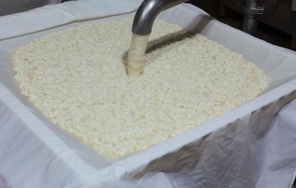 臭豆腐怎么做_臭豆腐制作流程-第1张图片-山城妙识 臭豆腐怎么做_臭豆腐制作流程-第1张图片-山城妙识