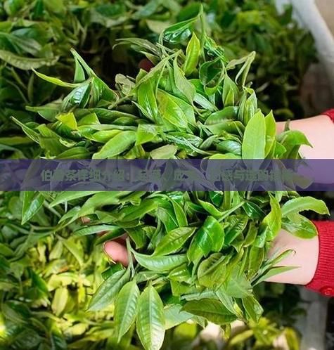 伯爵茶的功效与作用_伯爵茶适合什么人喝-第3张图片-山城妙识