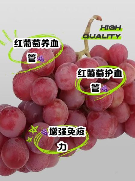 红乳葡萄的优点和缺点_红乳葡萄口感怎么样-第1张图片-山城妙识 红乳葡萄的优点和缺点_红乳葡萄口感怎么样-第1张图片-山城妙识