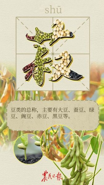 菽怎么读拼音_菽是什么意思-第2张图片-山城妙识
