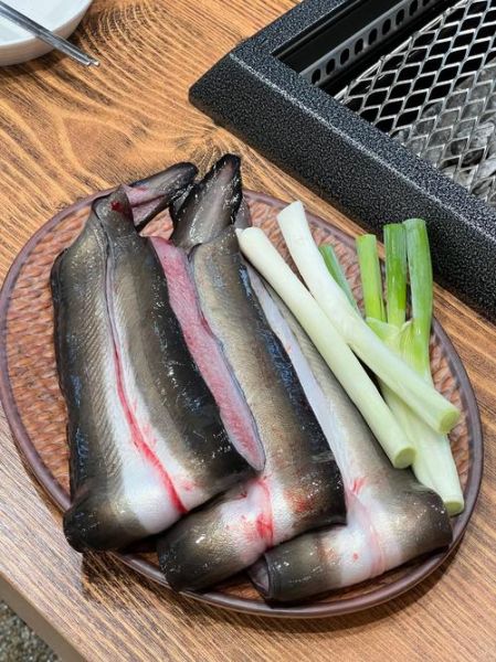 鳗鲡鱼怎么做好吃_鳗鲡鱼价格多少钱一斤-第1张图片-山城妙识 鳗鲡鱼怎么做好吃_鳗鲡鱼价格多少钱一斤-第1张图片-山城妙识