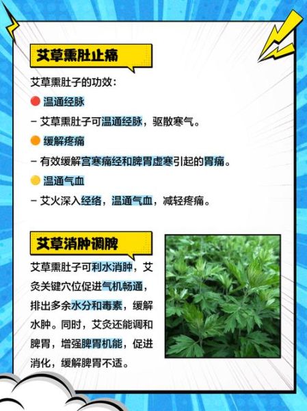 艾草的药用价值与功效_艾草怎么用效果最好-第2张图片-山城妙识