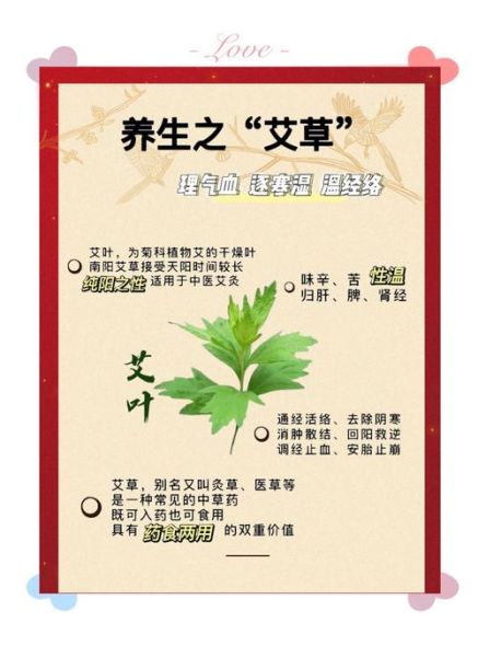 艾草的药用价值与功效_艾草怎么用效果最好-第1张图片-山城妙识