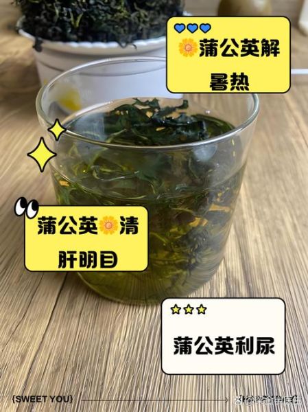 蒲公英降血压最快的方法_蒲公英茶怎么喝降压好-第3张图片-山城妙识