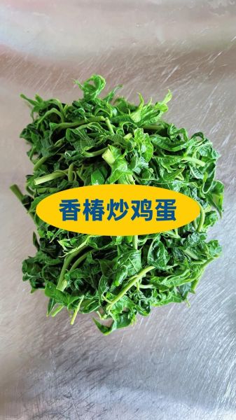 椿芽炒鸡蛋怎么做_椿芽炒鸡蛋需要焯水吗-第3张图片-山城妙识