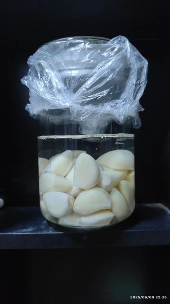 腊八蒜怎么变绿_腊八蒜用紫皮蒜还是白皮蒜-第2张图片-山城妙识