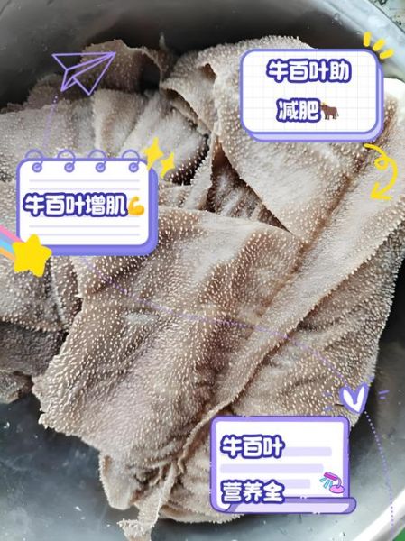 牛百叶的营养价值及功效_牛百叶吃了有什么好处-第2张图片-山城妙识