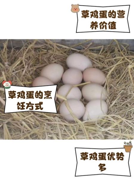 草鸡蛋图片怎么分辨真假_草鸡蛋图片高清细节图-第3张图片-山城妙识 草鸡蛋图片怎么分辨真假_草鸡蛋图片高清细节图-第3张图片-山城妙识