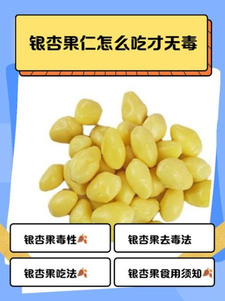 银杏果的吃法有几种_银杏果怎么吃才安全-第3张图片-山城妙识 银杏果的吃法有几种_银杏果怎么吃才安全-第3张图片-山城妙识