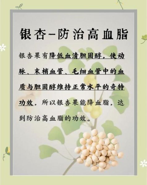 银杏果的吃法有几种_银杏果怎么吃才安全-第2张图片-山城妙识 银杏果的吃法有几种_银杏果怎么吃才安全-第2张图片-山城妙识