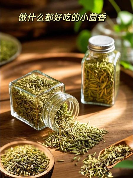 茴香和小茴香的区别_小茴香是茴香籽吗-第1张图片-山城妙识 茴香和小茴香的区别_小茴香是茴香籽吗-第1张图片-山城妙识