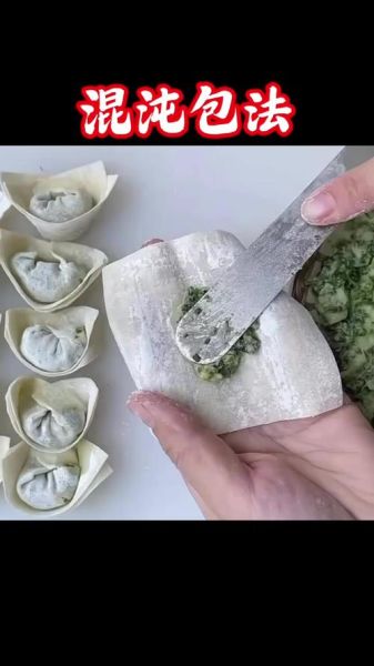 包混沌怎么包_包混沌视频教程-第3张图片-山城妙识 包混沌怎么包_包混沌视频教程-第3张图片-山城妙识