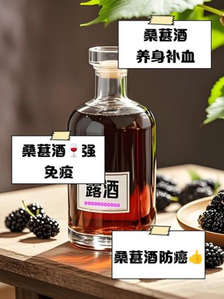 长期喝桑葚酒的功效_桑葚酒能天天喝吗-第1张图片-山城妙识 长期喝桑葚酒的功效_桑葚酒能天天喝吗-第1张图片-山城妙识