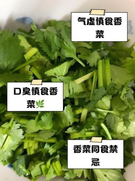 香菜什么人不能吃_香菜过敏症状有哪些-第2张图片-山城妙识 香菜什么人不能吃_香菜过敏症状有哪些-第2张图片-山城妙识