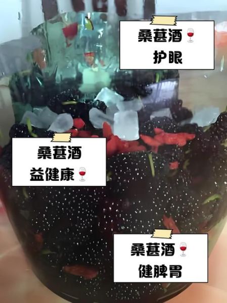 长期喝桑葚酒的功效_桑葚酒能天天喝吗-第2张图片-山城妙识 长期喝桑葚酒的功效_桑葚酒能天天喝吗-第2张图片-山城妙识