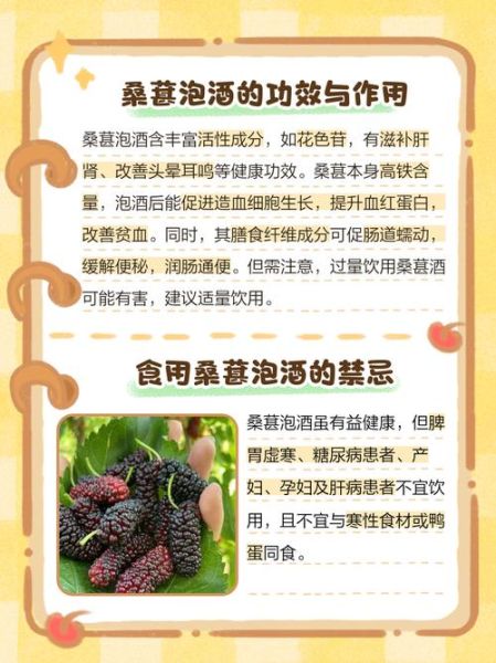 长期喝桑葚酒的功效_桑葚酒能天天喝吗-第3张图片-山城妙识 长期喝桑葚酒的功效_桑葚酒能天天喝吗-第3张图片-山城妙识