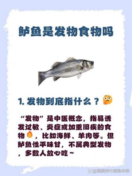 鲈鱼是发物吗_术后能吃鲈鱼吗-第3张图片-山城妙识 鲈鱼是发物吗_术后能吃鲈鱼吗-第3张图片-山城妙识