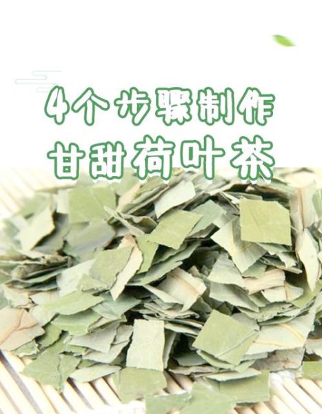 荷叶茶怎么泡_荷叶茶制作方法-第1张图片-山城妙识 荷叶茶怎么泡_荷叶茶制作方法-第1张图片-山城妙识