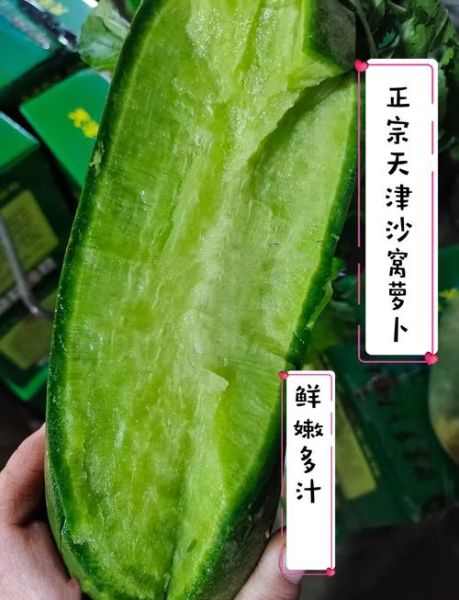 天津沙窝萝卜多少钱一斤_沙窝萝卜价格走势-第1张图片-山城妙识 天津沙窝萝卜多少钱一斤_沙窝萝卜价格走势-第1张图片-山城妙识