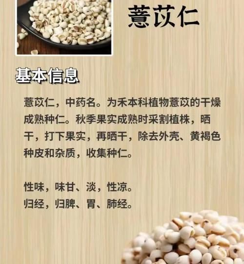 薏米可以天天吃吗_薏米禁忌人群有哪些-第2张图片-山城妙识 薏米可以天天吃吗_薏米禁忌人群有哪些-第2张图片-山城妙识