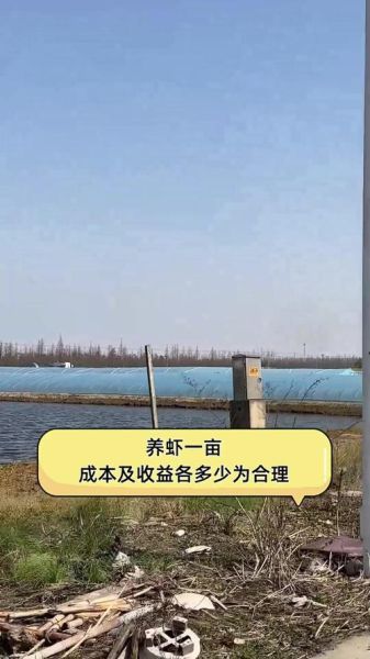 虾养殖一亩投资成本_虾养殖一亩利润有多少-第1张图片-山城妙识