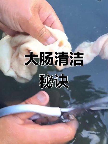 猪大肠怎么洗干净_猪大肠清洗去异味方法-第1张图片-山城妙识