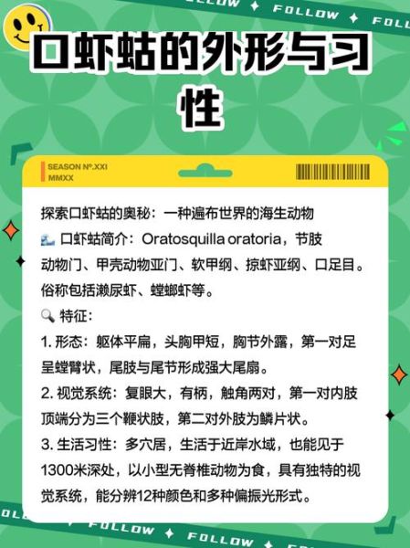 口虾蛄属是什么_口虾蛄属常见种类-第2张图片-山城妙识