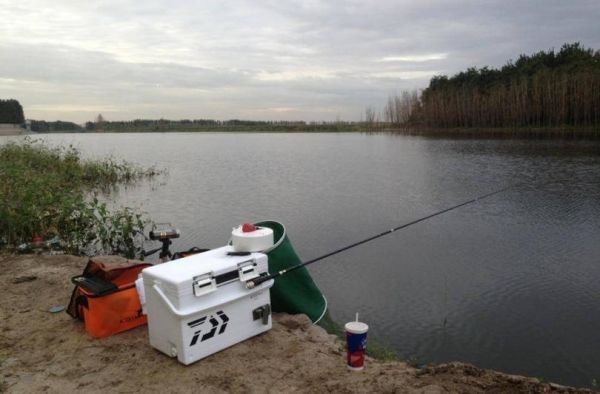 野钓视频怎么拍_野钓视频用什么设备-第3张图片-山城妙识