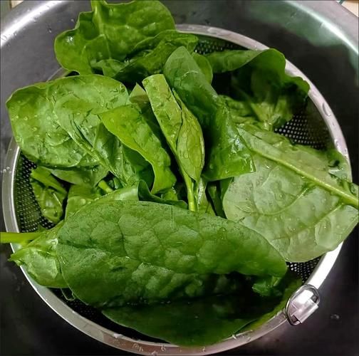 木耳菜鸡蛋汤怎么做_木耳菜鸡蛋汤的功效-第2张图片-山城妙识