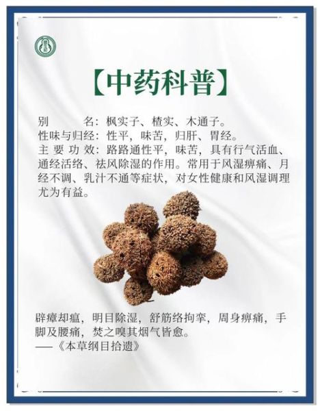 路路通中药图片_功效与作用是什么-第1张图片-山城妙识