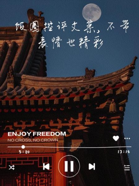 饭圈控评是什么意思_粉丝控评对品牌有什么影响-第2张图片-山城妙识