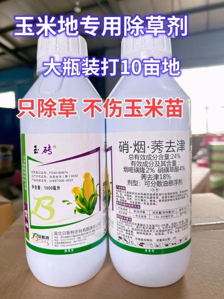 玉米地除草用什么药最好_玉米田除草剂推荐-第3张图片-山城妙识
