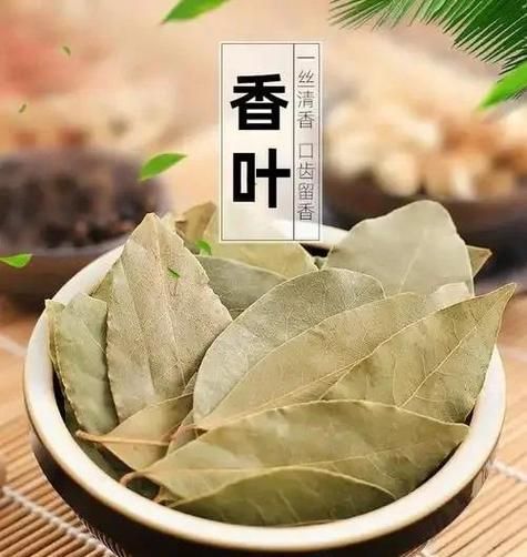 香叶的功效与作用_香叶的禁忌有哪些-第3张图片-山城妙识