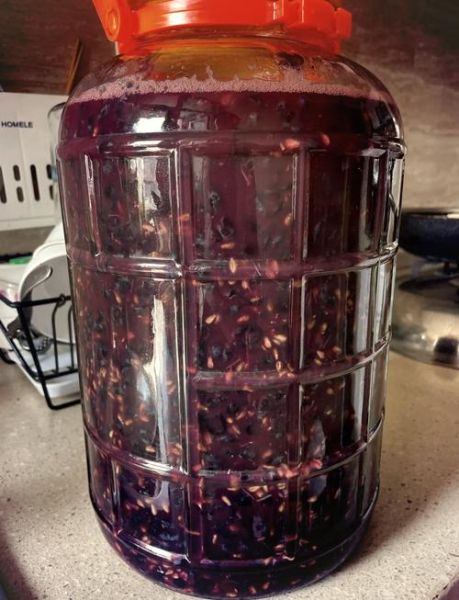 葡萄怎么酿酒最简单_家庭自酿葡萄酒步骤-第2张图片-山城妙识