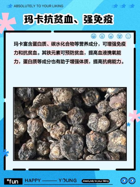 玛卡的功效与作用_玛卡怎么吃效果最好-第3张图片-山城妙识 玛卡的功效与作用_玛卡怎么吃效果最好-第3张图片-山城妙识