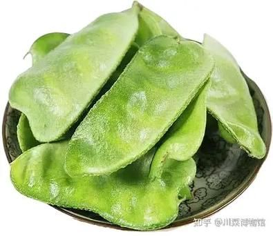 荷兰豆和扁豆的区别_哪个营养价值更高-第1张图片-山城妙识 荷兰豆和扁豆的区别_哪个营养价值更高-第1张图片-山城妙识