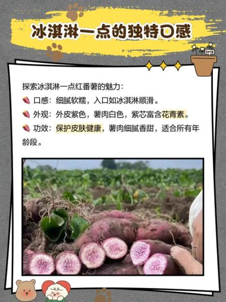 番薯杯是什么意思_番薯杯网络用语解析-第1张图片-山城妙识 番薯杯是什么意思_番薯杯网络用语解析-第1张图片-山城妙识