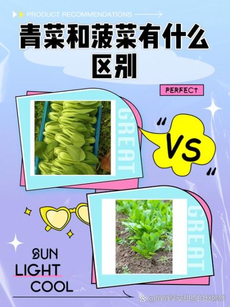 菠菜姐妹是谁_菠菜姐妹作品有哪些-第2张图片-山城妙识 菠菜姐妹是谁_菠菜姐妹作品有哪些-第2张图片-山城妙识