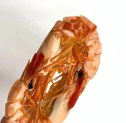 大对虾干怎么做好吃_大对虾干的家常做法-第3张图片-山城妙识 大对虾干怎么做好吃_大对虾干的家常做法-第3张图片-山城妙识