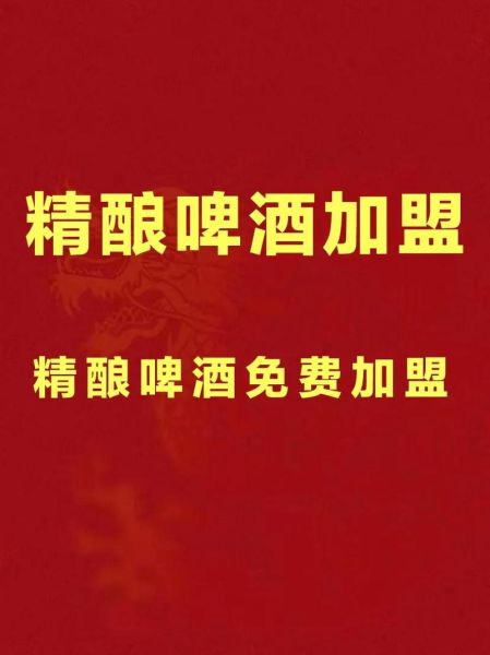 玩夫精酿啤酒加盟费用_玩夫精酿啤酒加盟条件-第3张图片-山城妙识 玩夫精酿啤酒加盟费用_玩夫精酿啤酒加盟条件-第3张图片-山城妙识