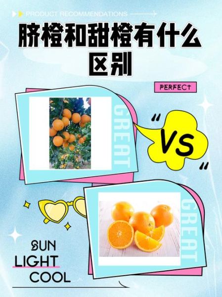 脐橙是什么意思_脐橙和普通橙子区别-第1张图片-山城妙识 脐橙是什么意思_脐橙和普通橙子区别-第1张图片-山城妙识