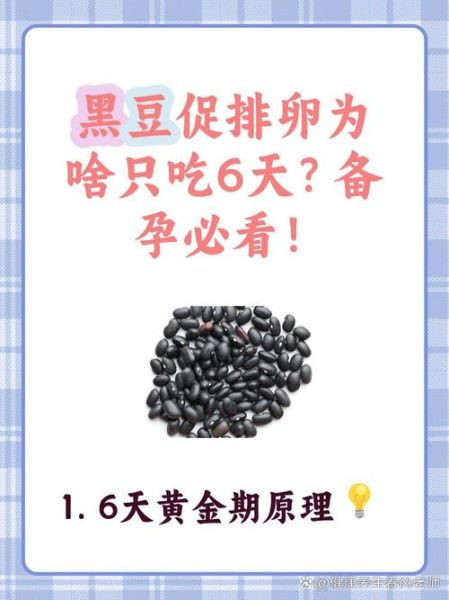 黑豆粉可以促排卵吗_黑豆粉促排卵怎么吃-第2张图片-山城妙识 黑豆粉可以促排卵吗_黑豆粉促排卵怎么吃-第2张图片-山城妙识